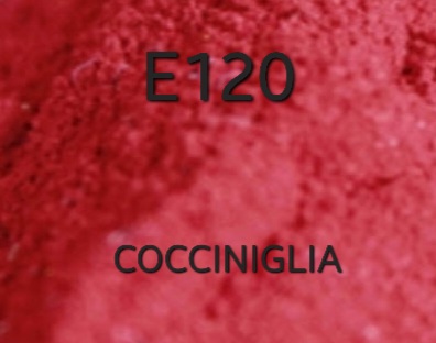 Il colorante alimentare rosso E120 estratto dall'insetto Cocciniglia ...