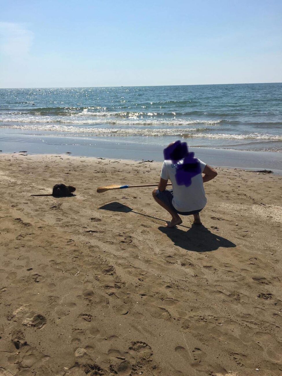 La nutria al mare, una sorpresa per i bagnanti | Ongaro Disinfestazioni