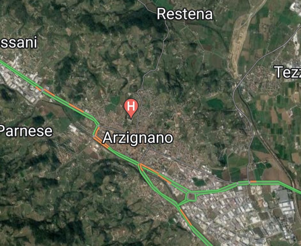Il Comune di Arzignano ed il problema dei colombi in città | Ongaro ...